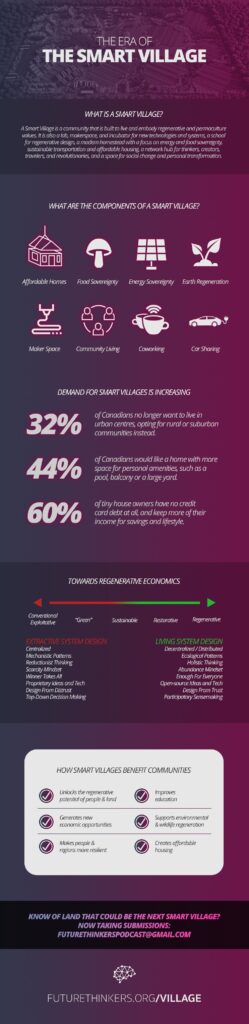 Smart Village Infographic